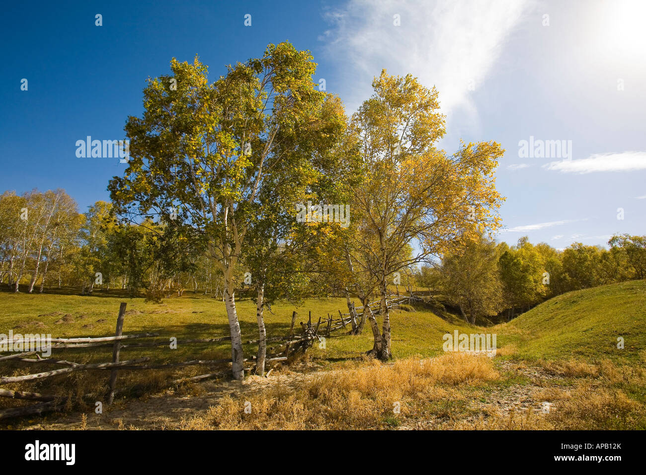 View of Bashang high plain Neimenggu Stock Photo - Alamy