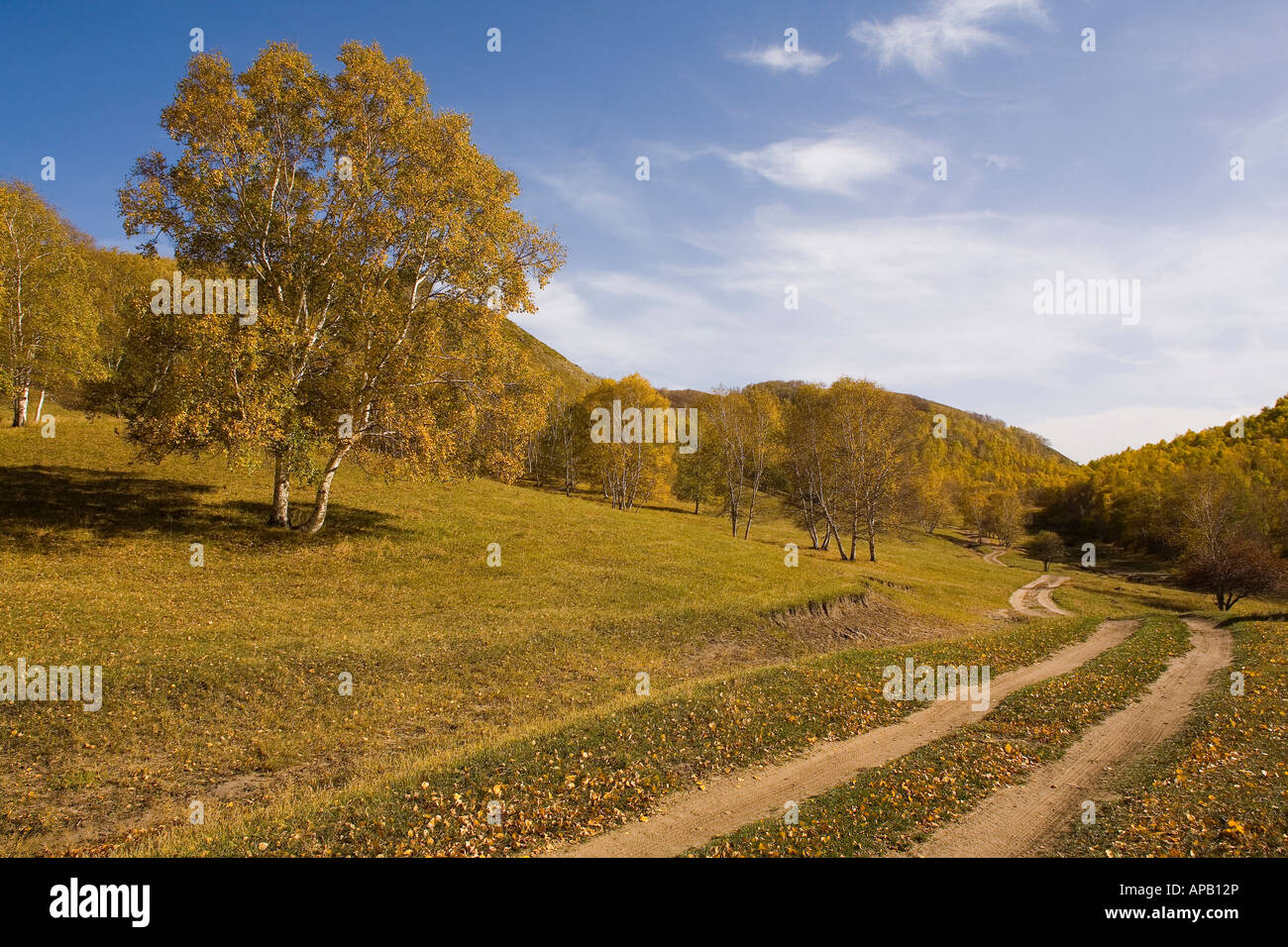 View of Bashang high plain Neimenggu Stock Photo - Alamy
