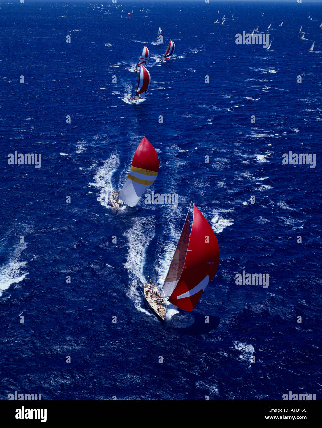 Aerial sailing yacht spinnaker race hi-res stock photography and images ...