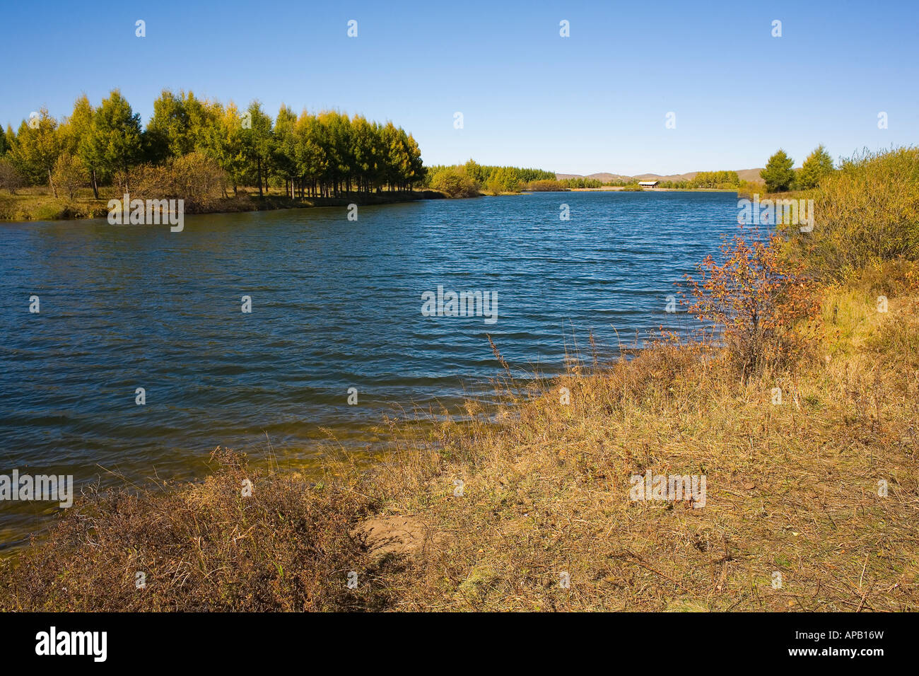 View of Bashang high plain Neimenggu Stock Photo - Alamy