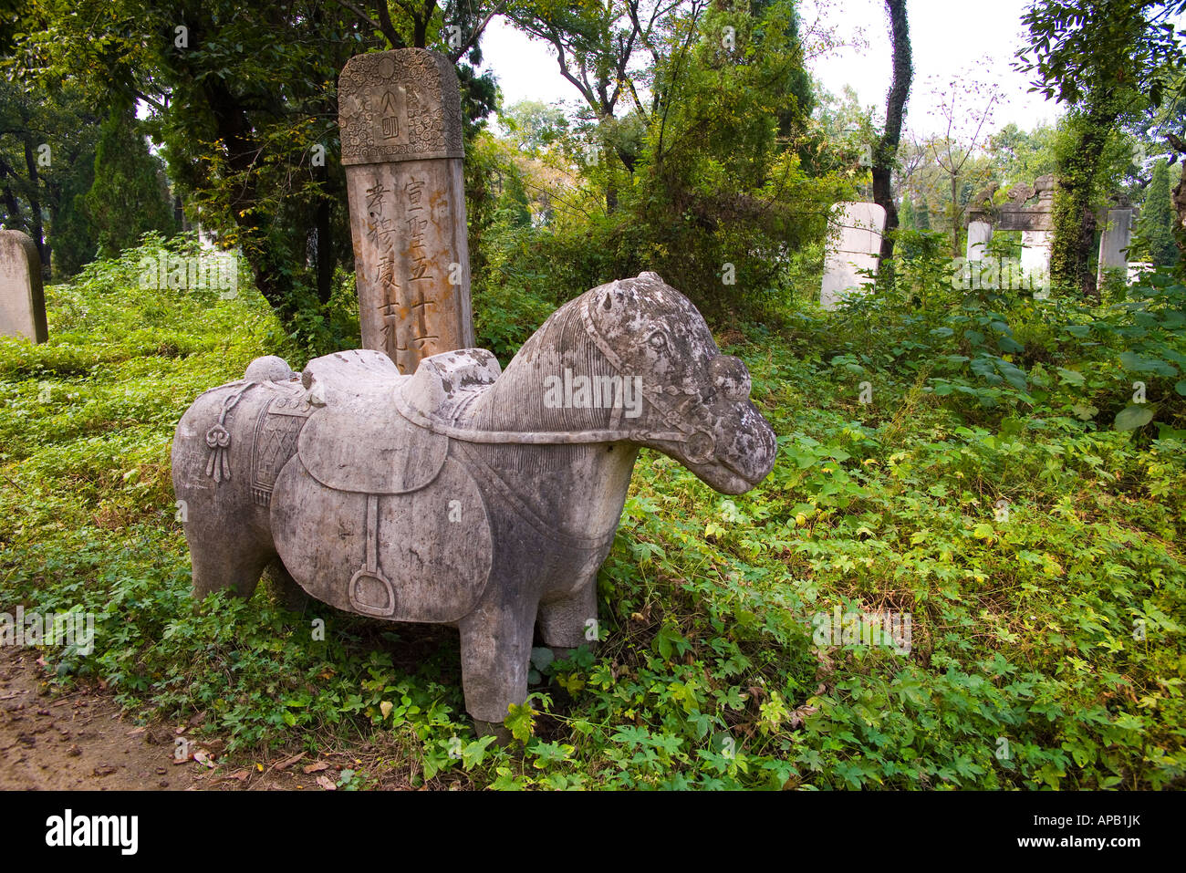 View of Confucius Forest in Qufu Shandong Stock Photo - Alamy
