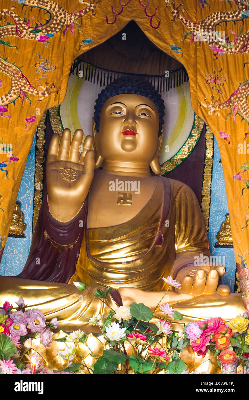 Jinan, shandong hi-res stock photography and images - Alamy