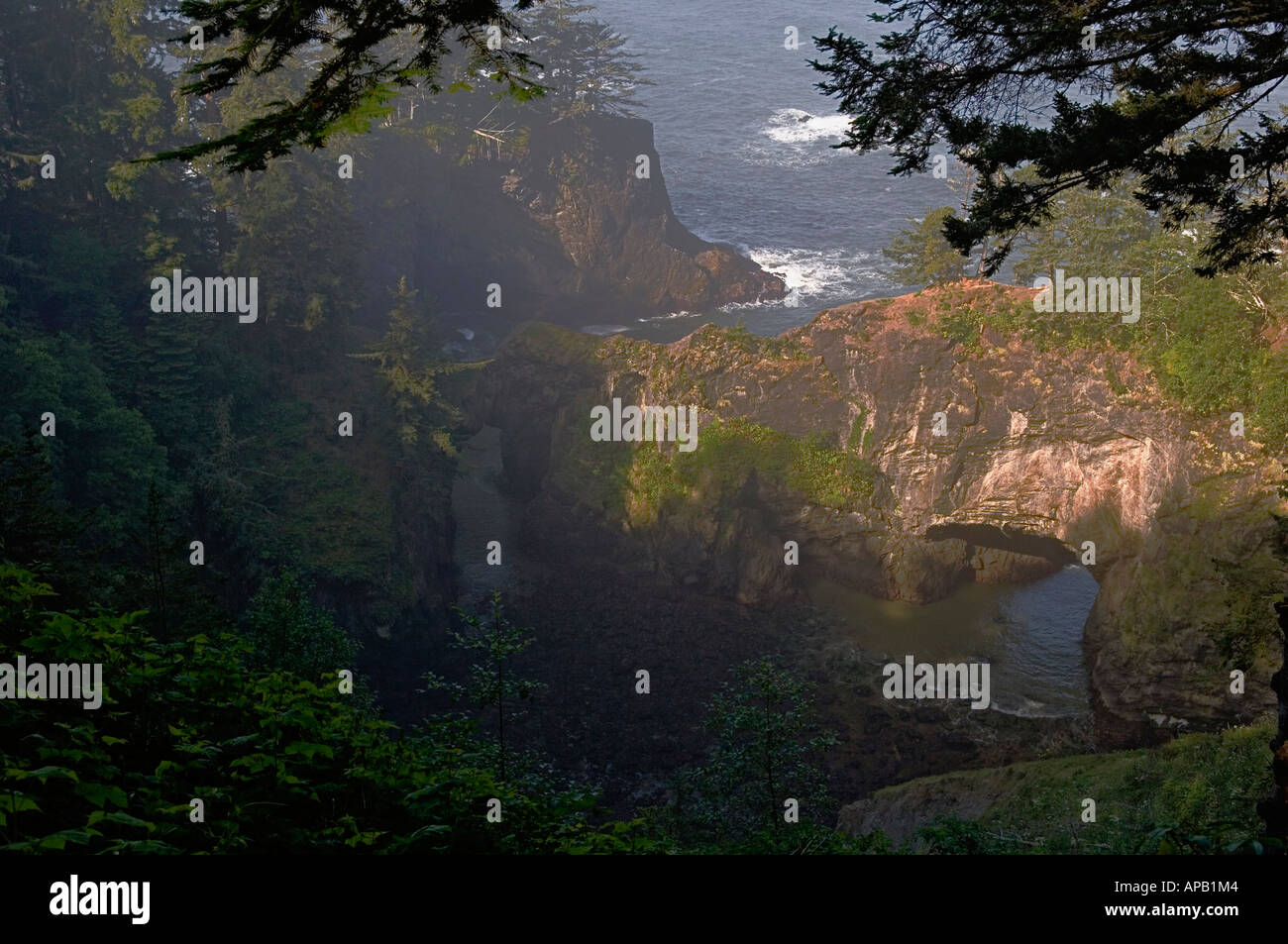 Natural Bridges viewpoint Samuel H Boardman State Scenic Corridor ...
