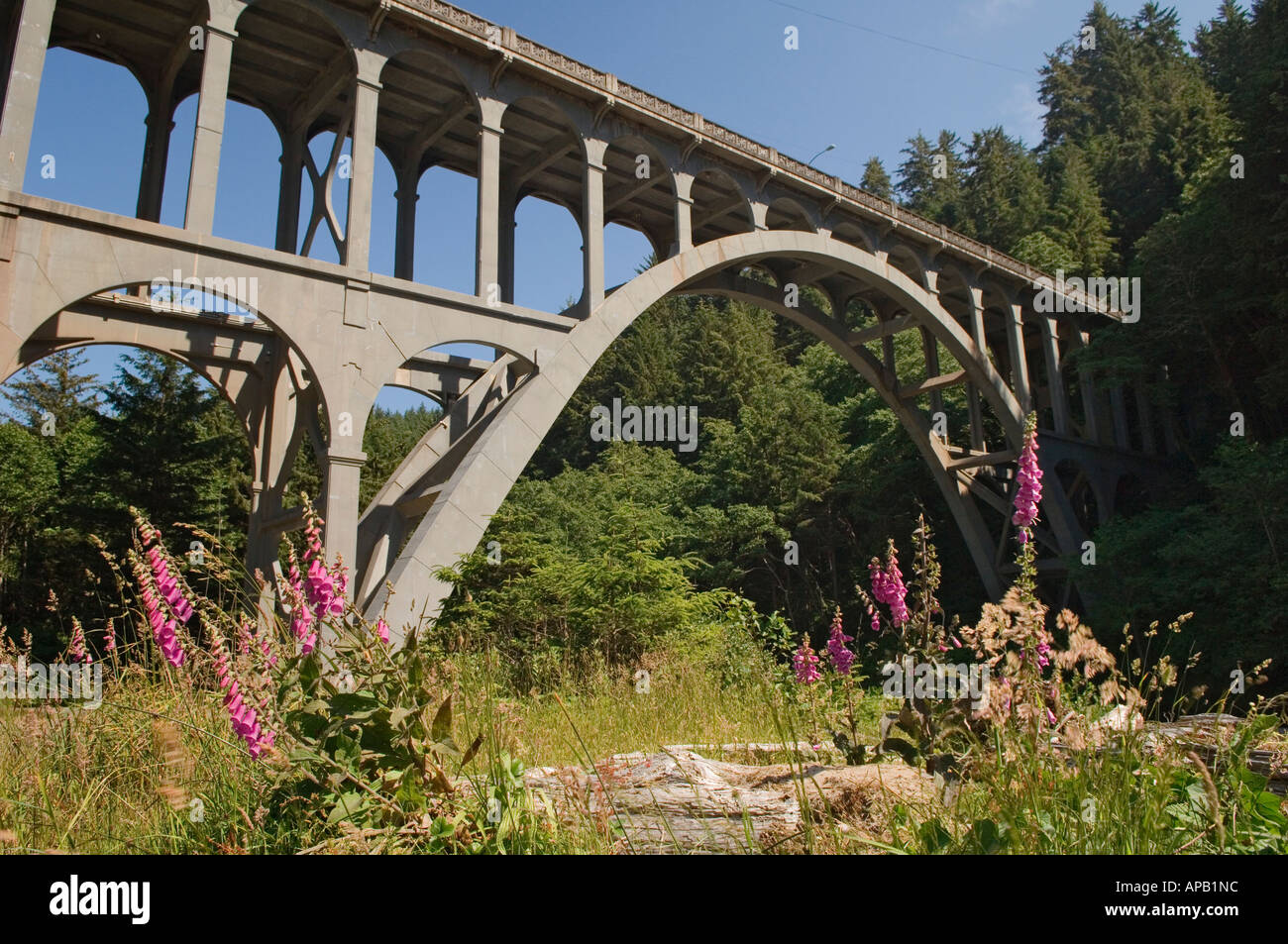 Devils elbow state park hi-res stock photography and images - Alamy