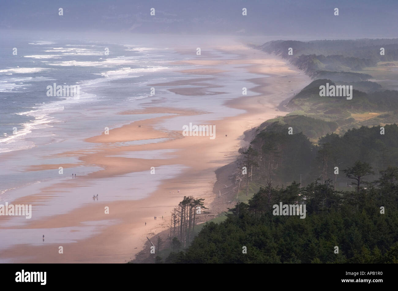 Oregon Coast view from Anderson Viewpoint on Cape Lookout Stock Photo ...