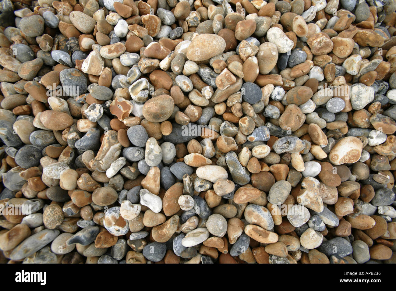 Pebbles on a beach Stock Photo - Alamy