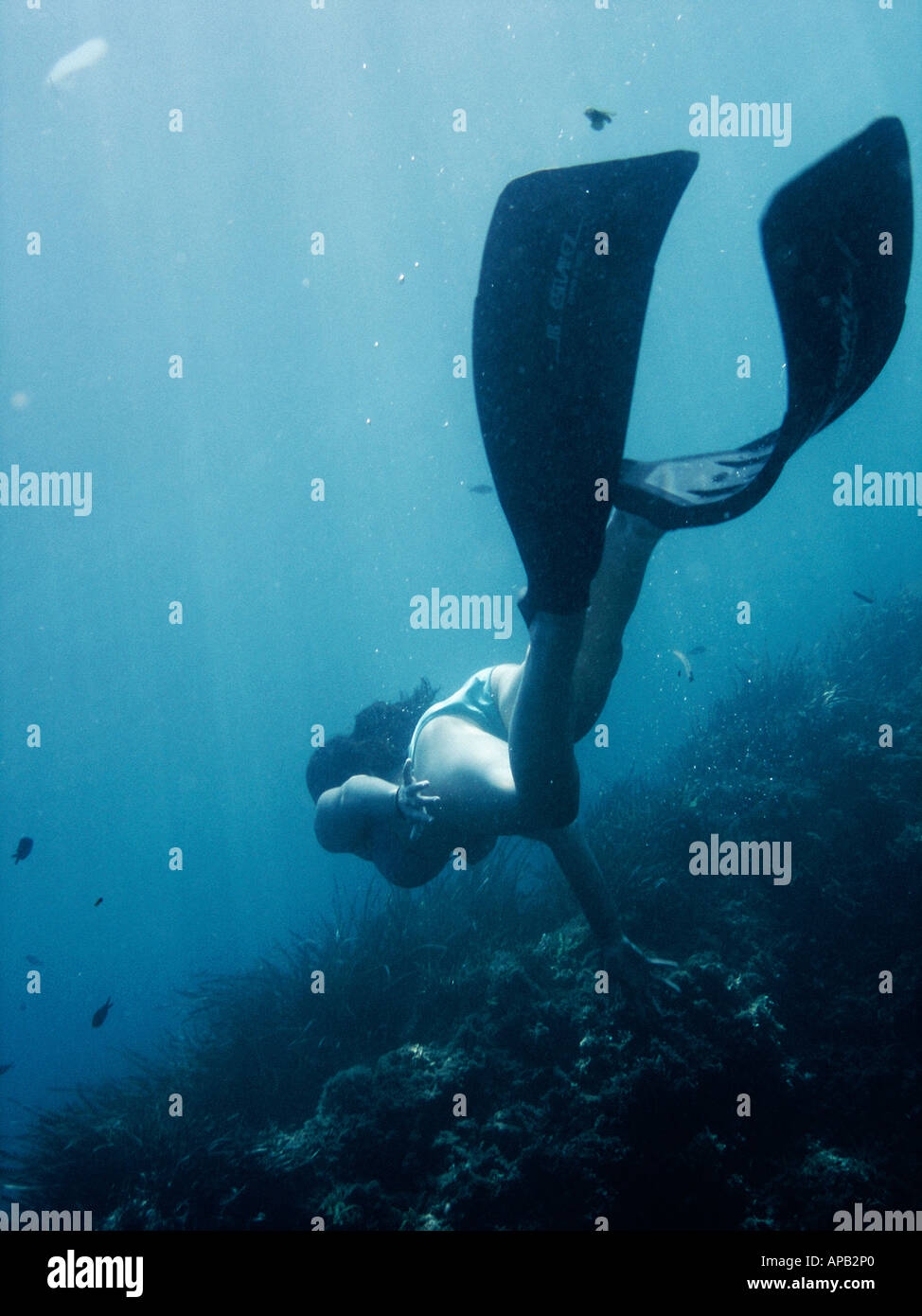 Bikini Flippers High Resolution Stock Photography and Images - Alamy