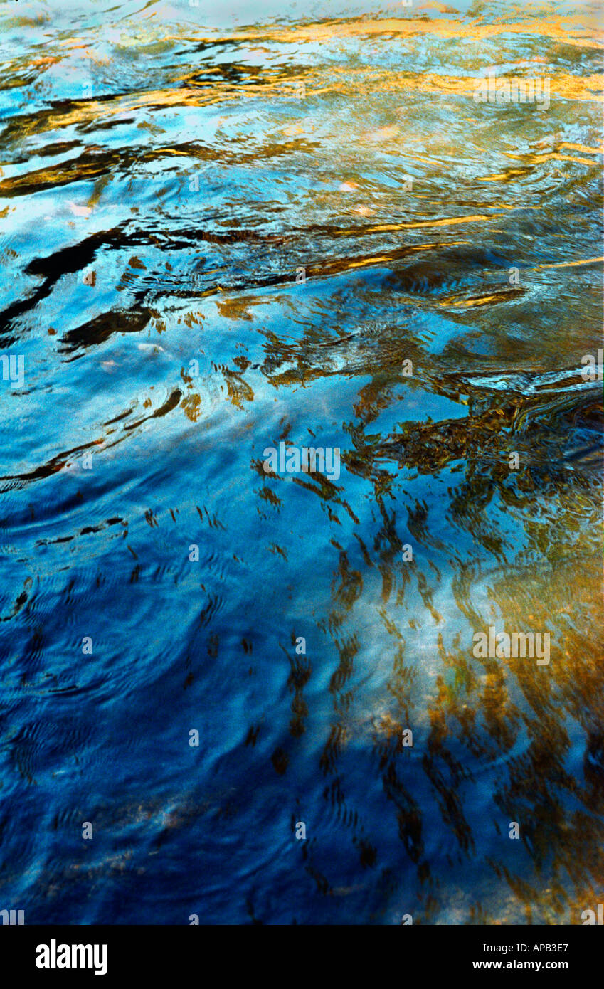 Water Study NW Georgia USA Stock Photo - Alamy