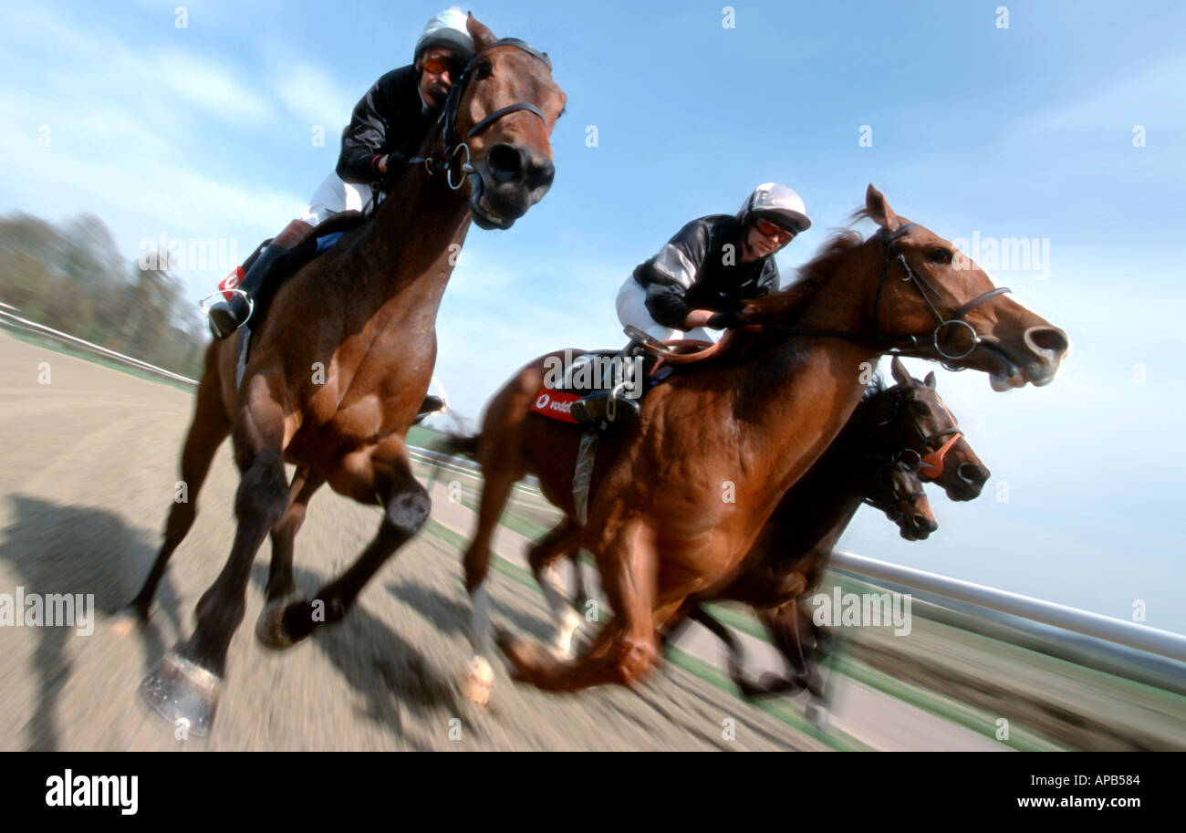 Race horses racing on a rack track Stock Photo - Alamy