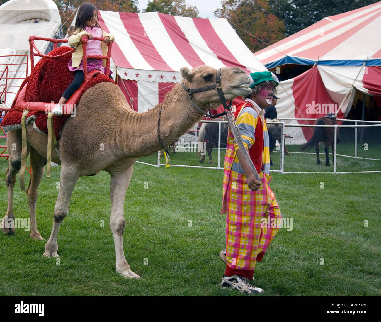 Circus camel ride clown hi-res stock photography and images - Alamy