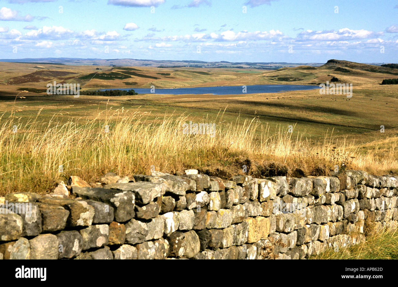 Broomlee lough hi-res stock photography and images - Alamy