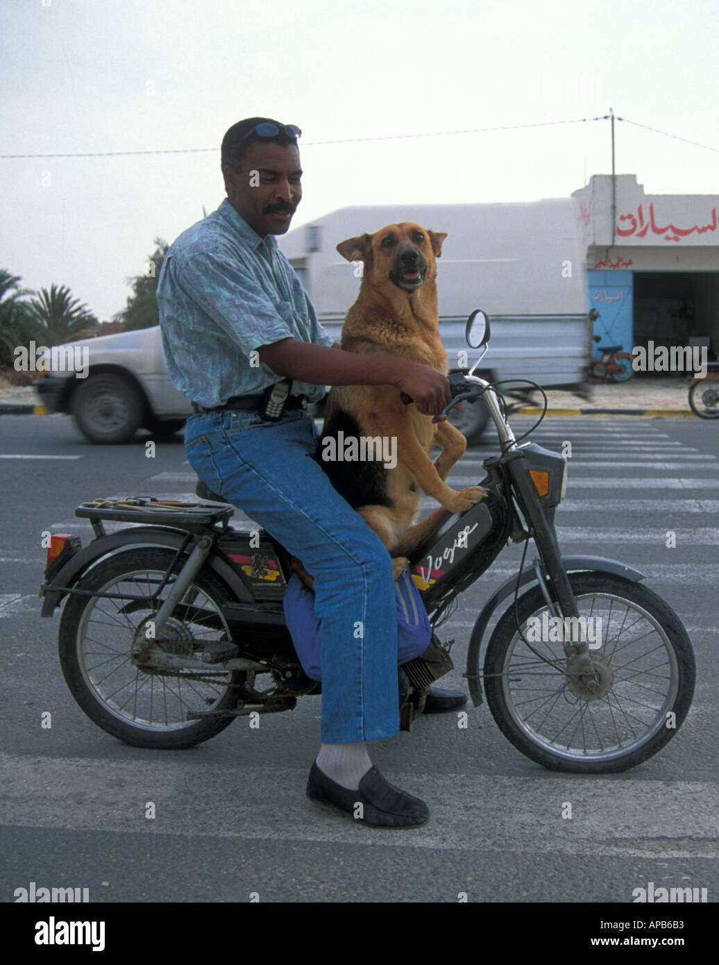 Arthur the dog on his bike with his master Stock Photo - Alamy