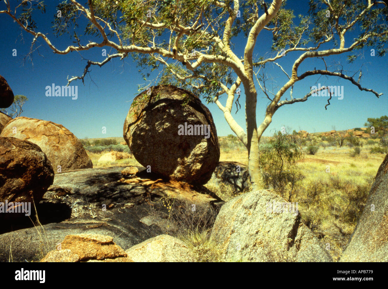 Devil northern territory australia hi-res stock photography and images ...