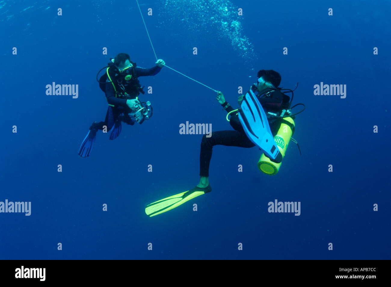 Scuba diving safety stop hi-res stock photography and images - Alamy