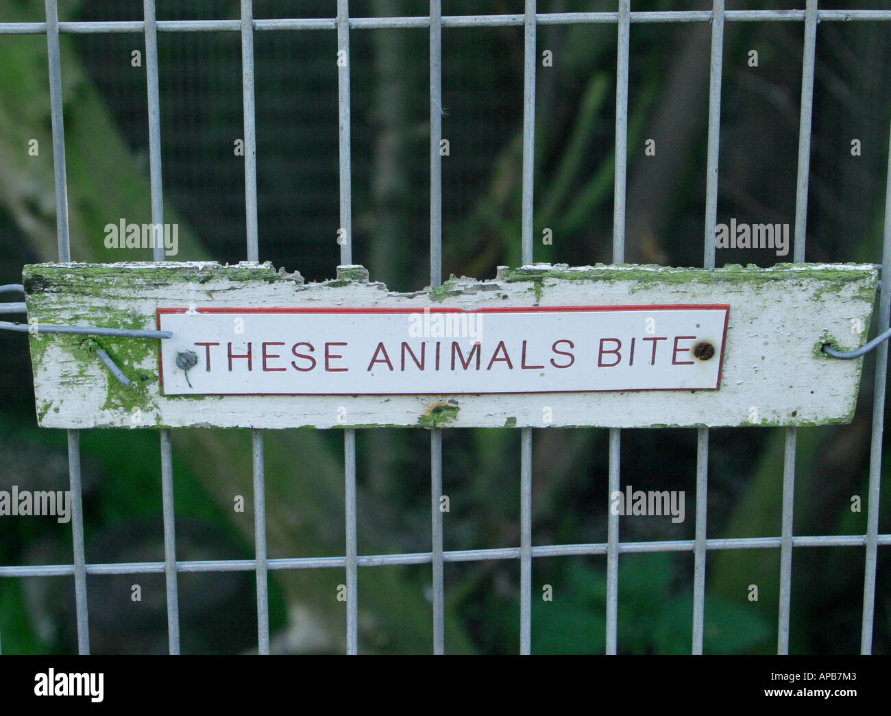 These animals may bite sign Stock Photo - Alamy