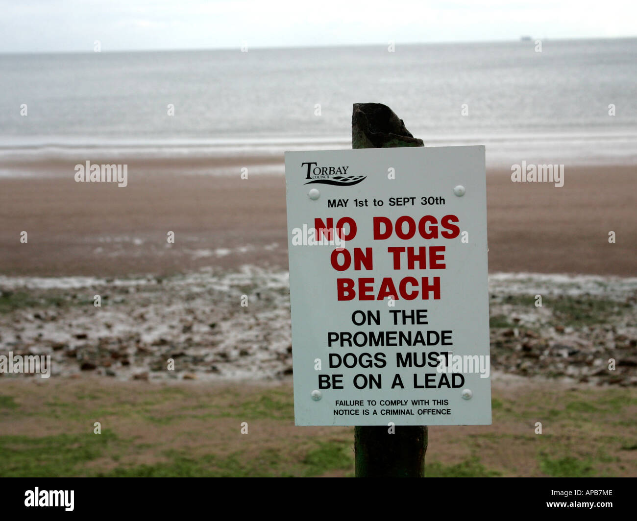 Beach dog allowed hi-res stock photography and images - Alamy