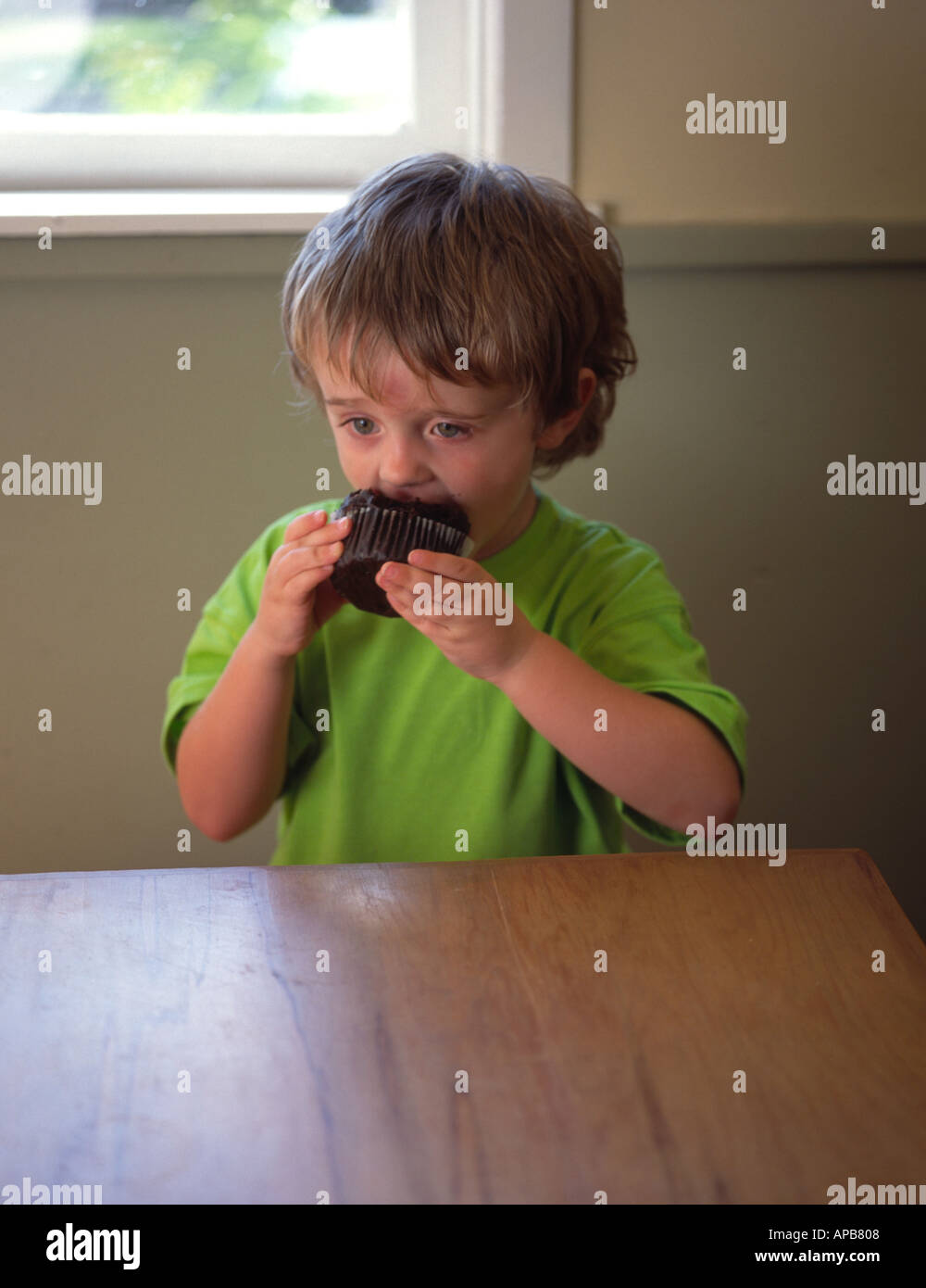 child eating a large chocolate muffin at table Stock Photo - Alamy