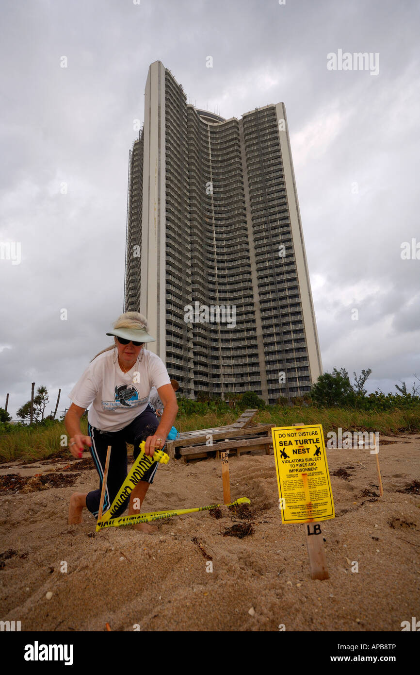 Sea turtle nest encroached on by coastal development Stock Photo - Alamy