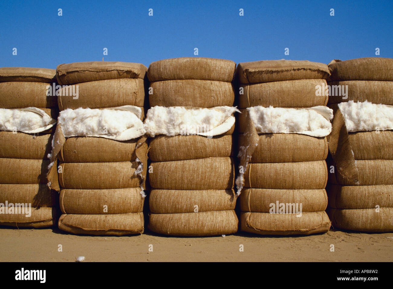 Cotton fiber baled hi-res stock photography and images - Alamy