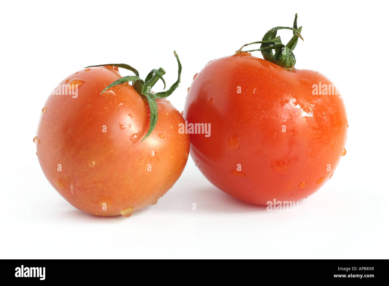 Two tomatoes over white background Stock Photo - Alamy