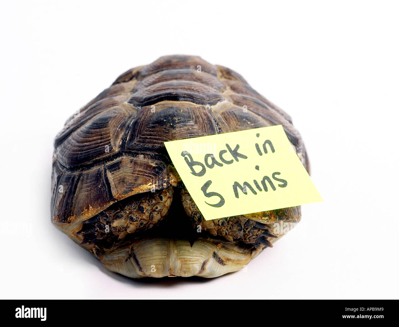 Longlunch hi-res stock photography and images - Alamy