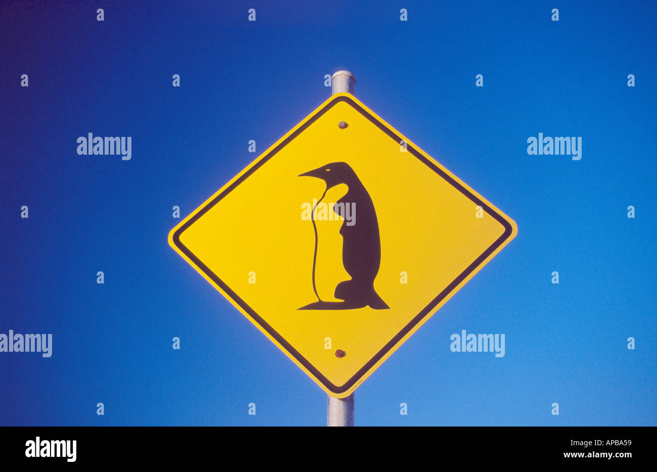 Funny australian signs hi-res stock photography and images - Alamy