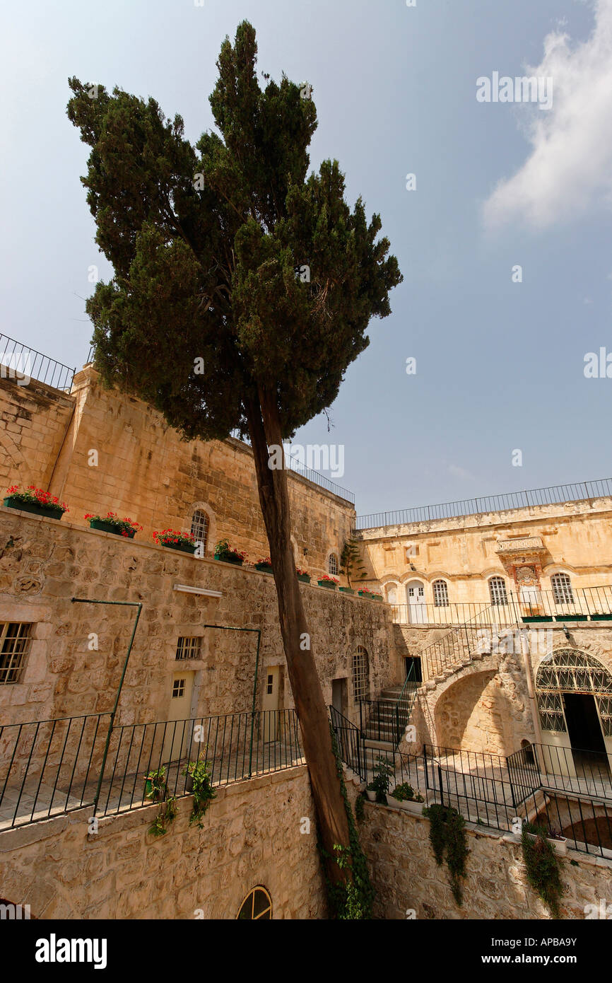 Israel Jerusalem Cypress tree in the Monastery of the Cross Stock Photo ...