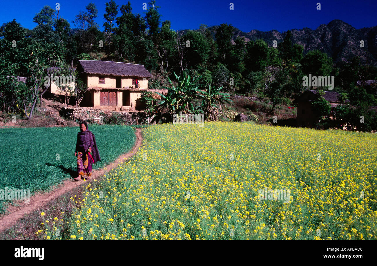 Tharu culture hi-res stock photography and images - Alamy