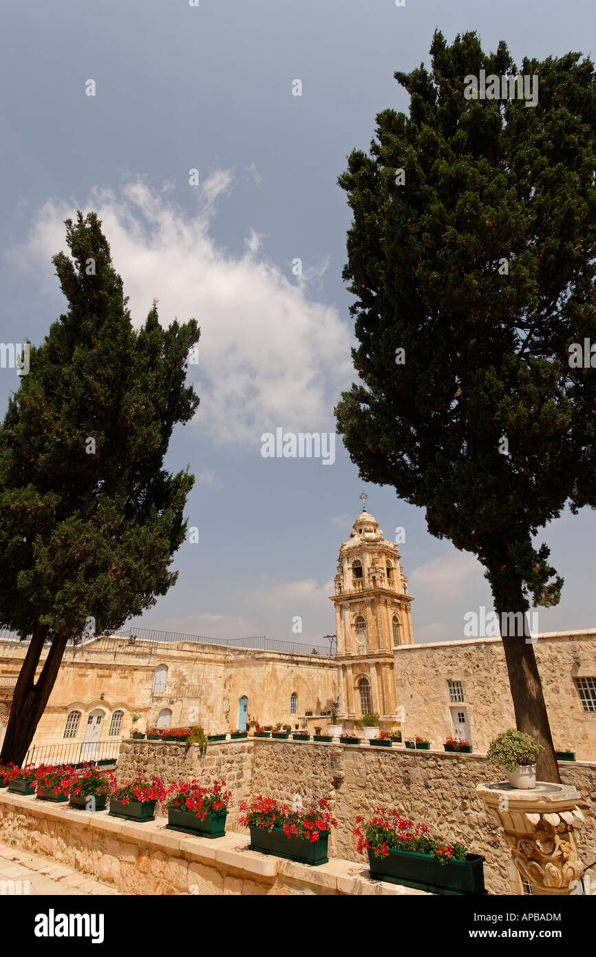 Israel jerusalem cypress tree in hi-res stock photography and images ...