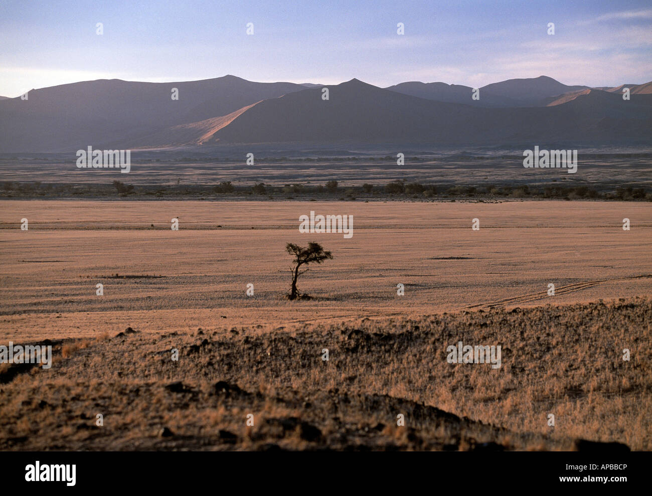 Emptiness of the plains hi-res stock photography and images - Alamy