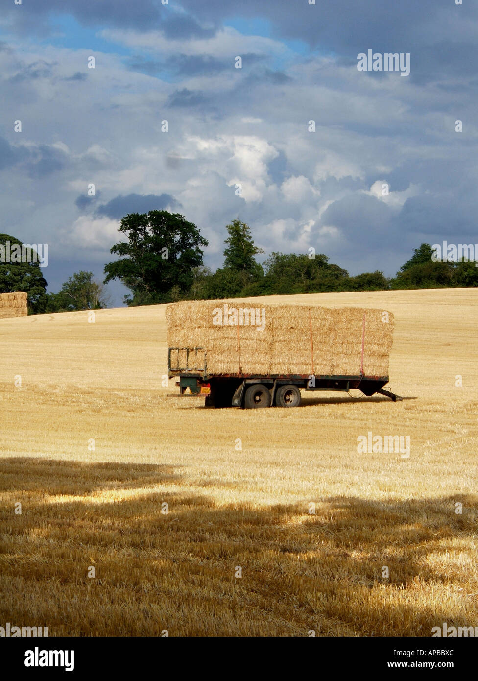 Haycart hi-res stock photography and images - Alamy
