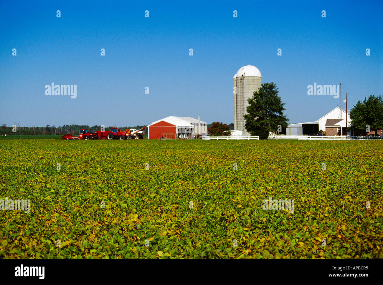 Soybean farm delaware hi-res stock photography and images - Alamy