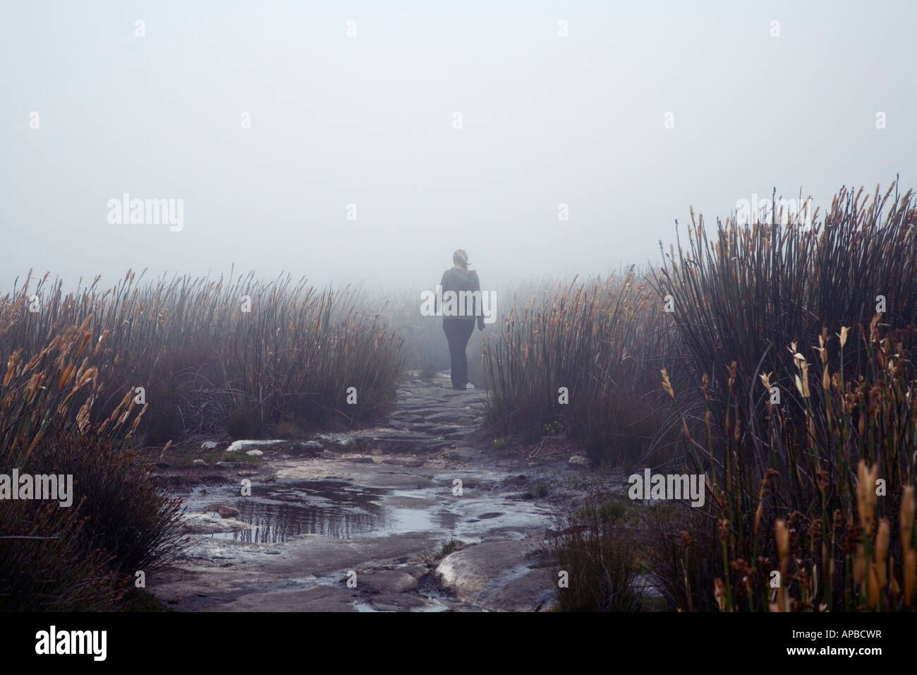 Woman on top of table mountain hi-res stock photography and images - Alamy