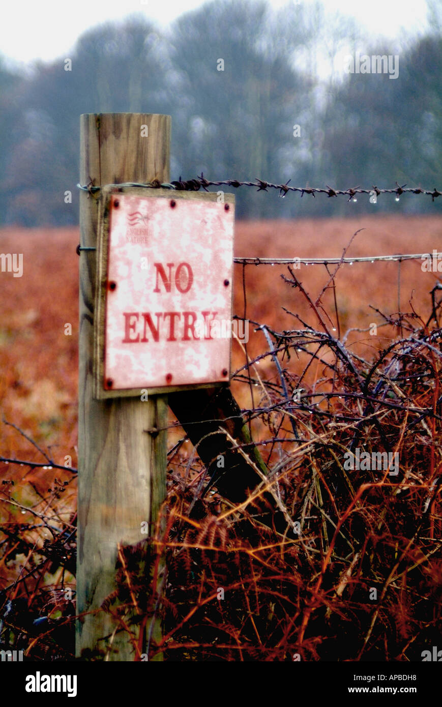 no exit sign Stock Photo - Alamy