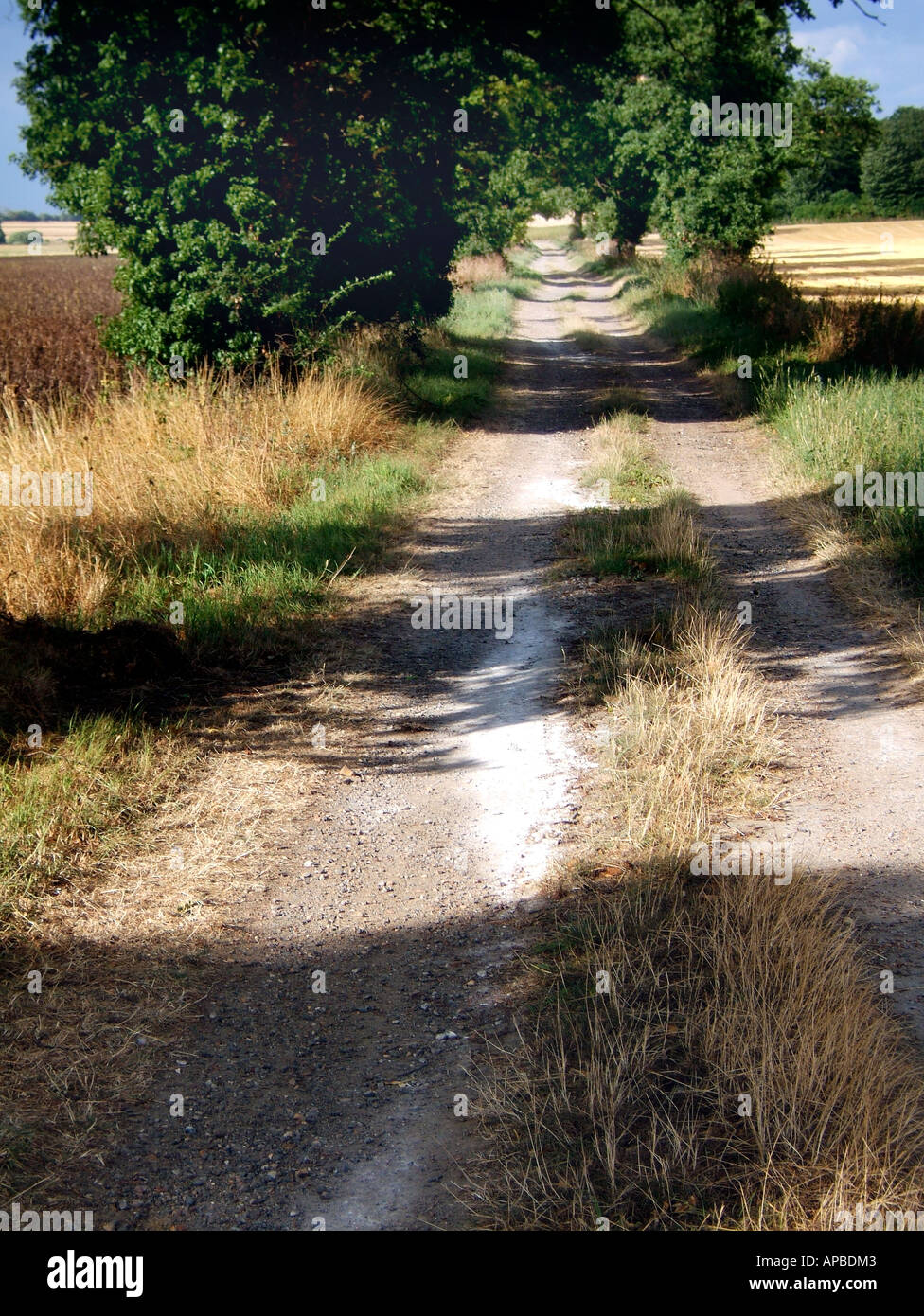 rural country track Stock Photo - Alamy
