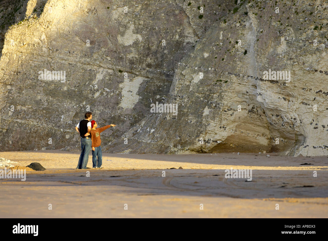 two male friends pointing at rocks on the beach white rocks beach ...