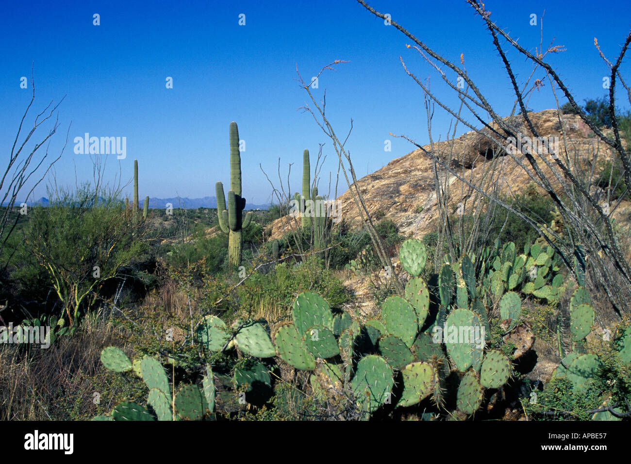 Hardy monument old hi-res stock photography and images - Alamy