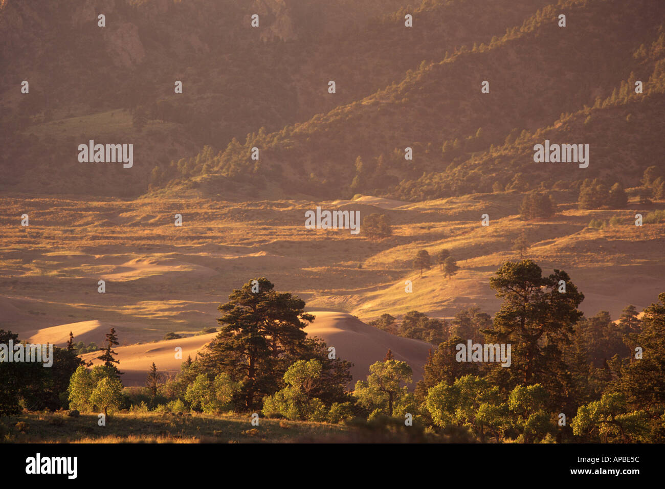 Great Sand Dunes National Monument Alamosa Colorado Stock Photo - Alamy