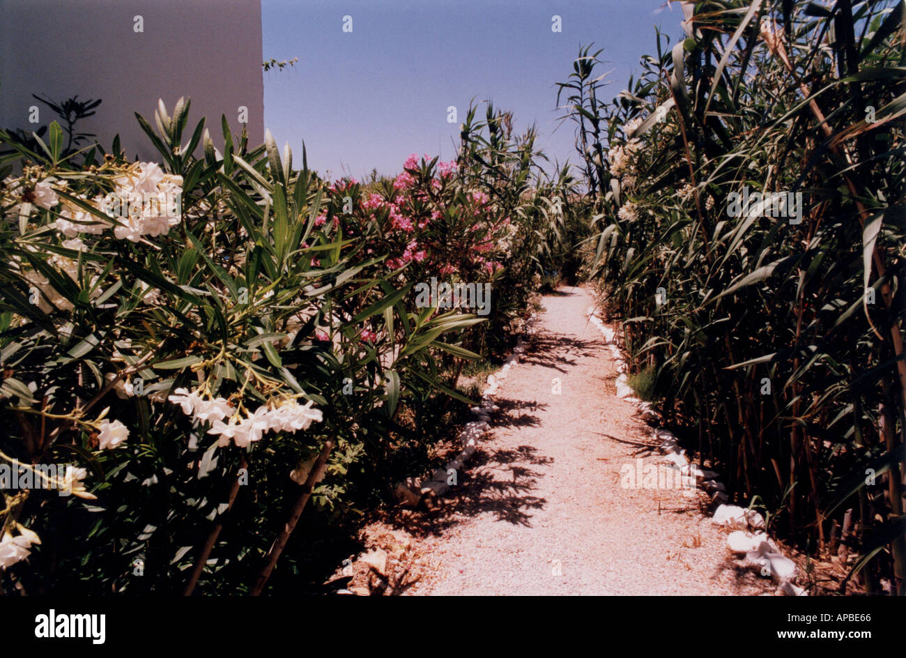 Pathway Crete Greece Stock Photo - Alamy