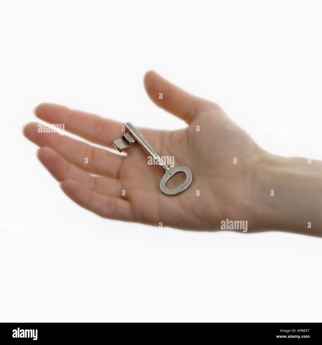 Skeleton Hand Stock Photos & Skeleton Hand Stock Images - Alamy