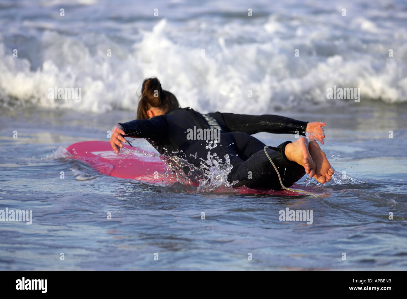 female surfer in wet suit paddling out on a pink surfboard into the ...