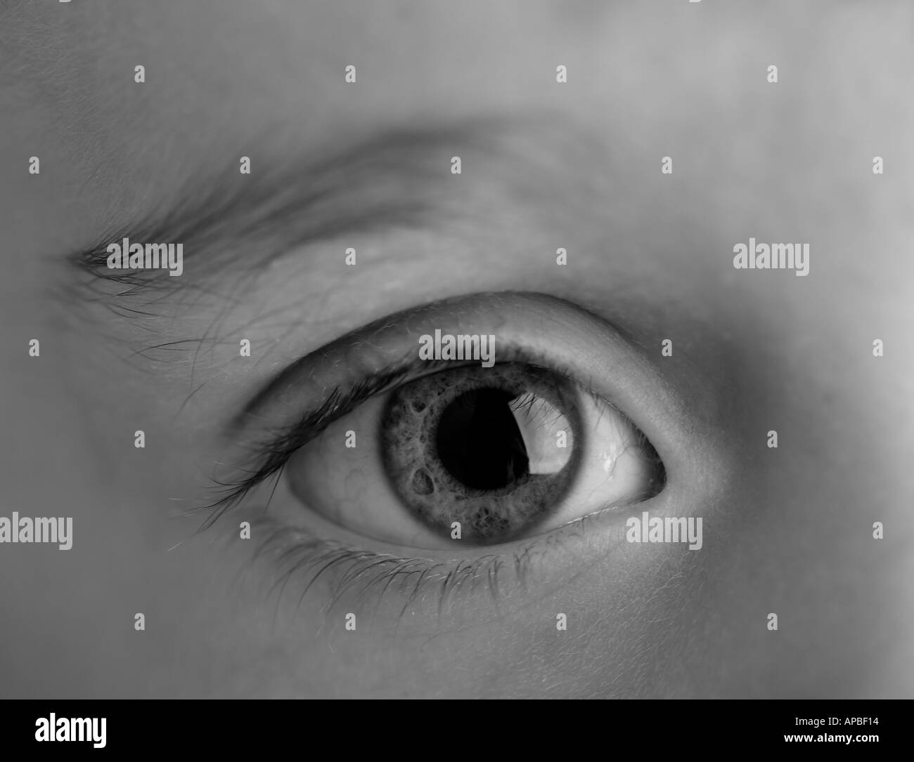 close up person eye clear and bright Stock Photo - Alamy