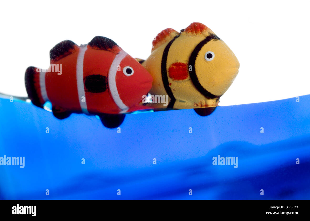 bright plastic clown fish water toy play tropical Stock Photo - Alamy