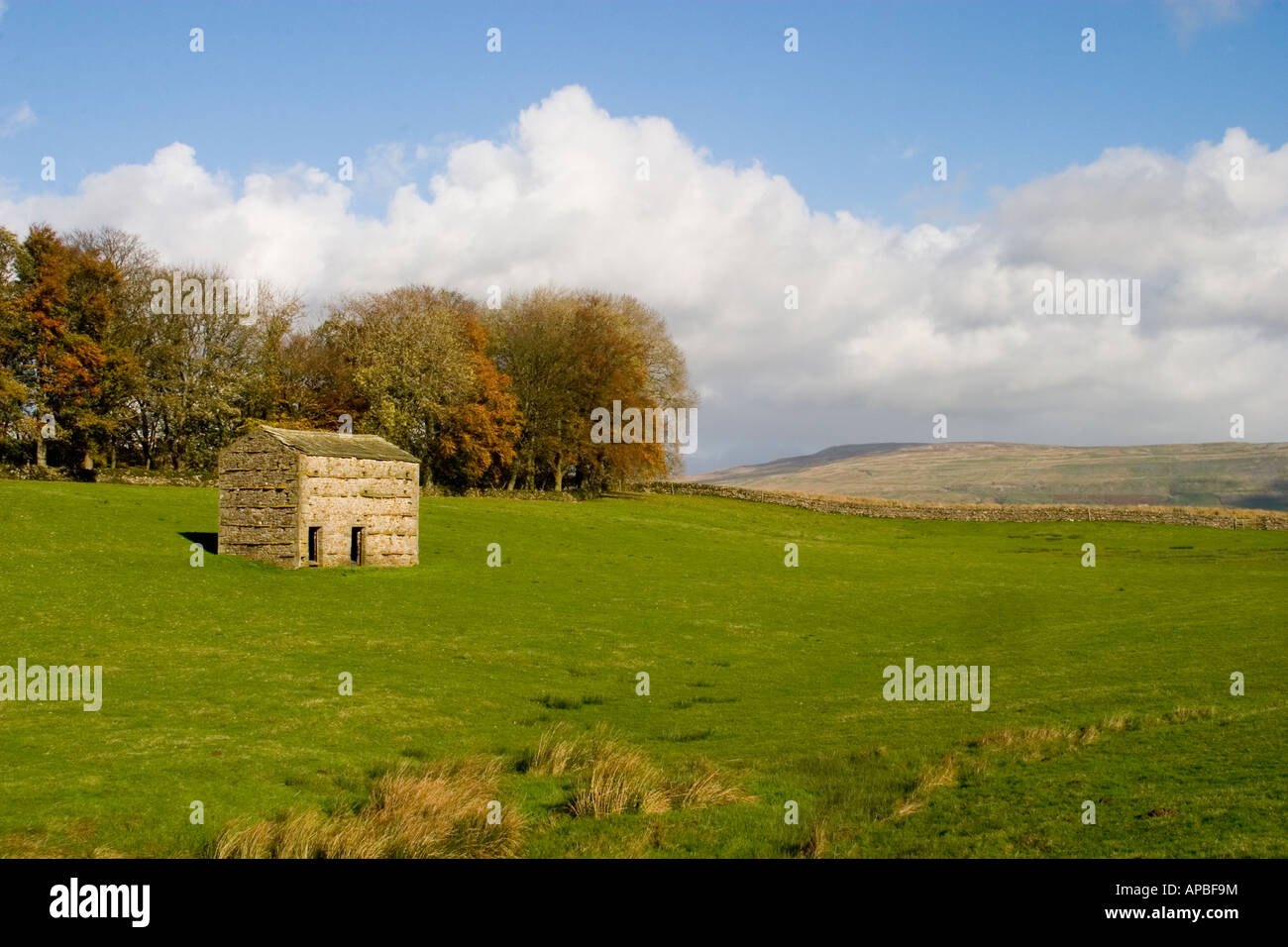Yorkshire Stone Barn in Field Stock Photo - Alamy