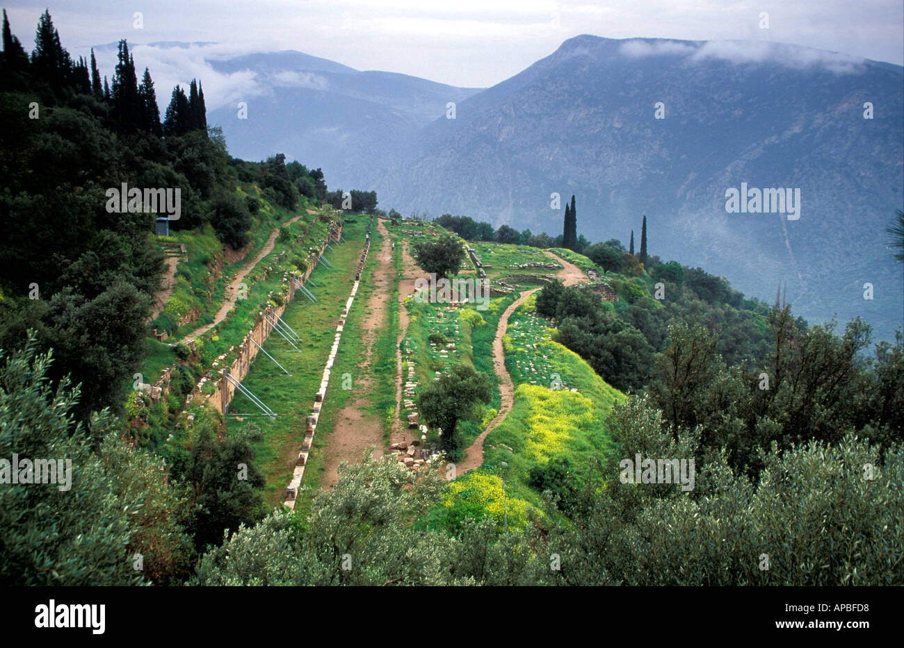 The gymnasium of Delphi Stock Photo - Alamy