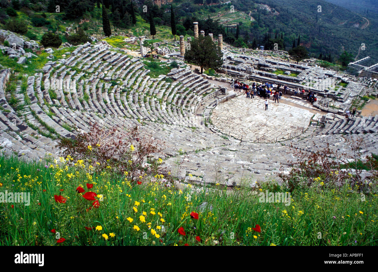 Ancient Theatre of Delphi in spring Stock Photo - Alamy