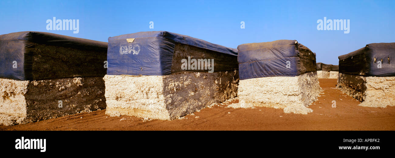 Cotton modules covered with tarps hi-res stock photography and images ...