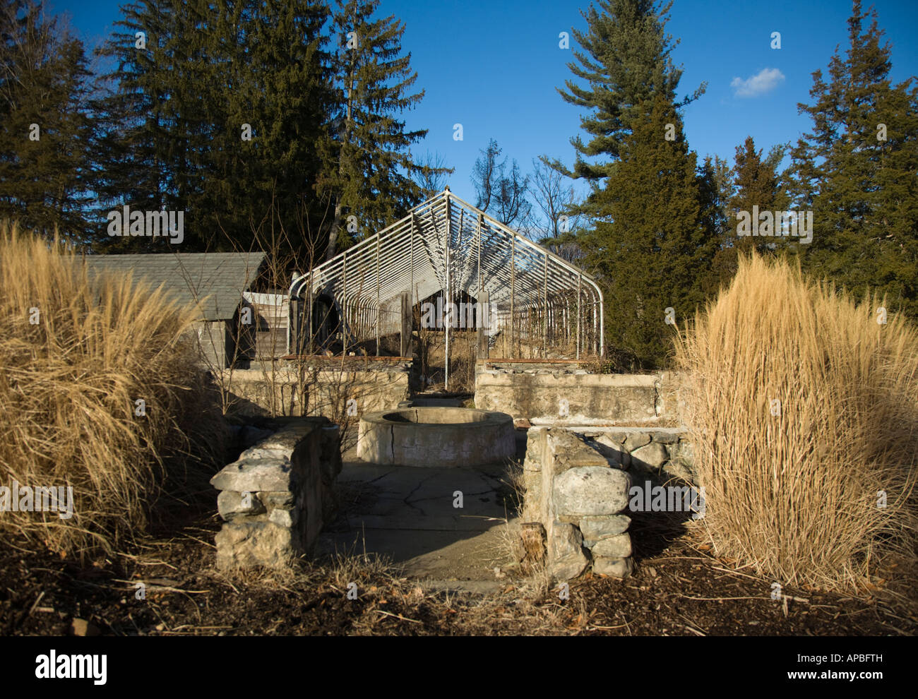 Old abandoned greenhouse Stock Photo - Alamy