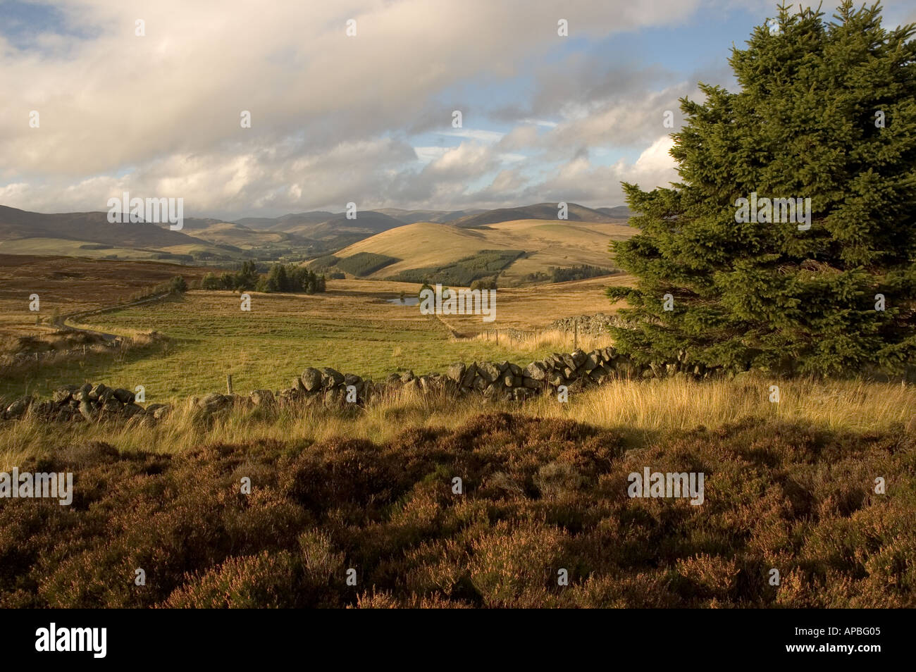 Glen Isla Angus Glens Scotland United Kingdom UK Stock Photo - Alamy