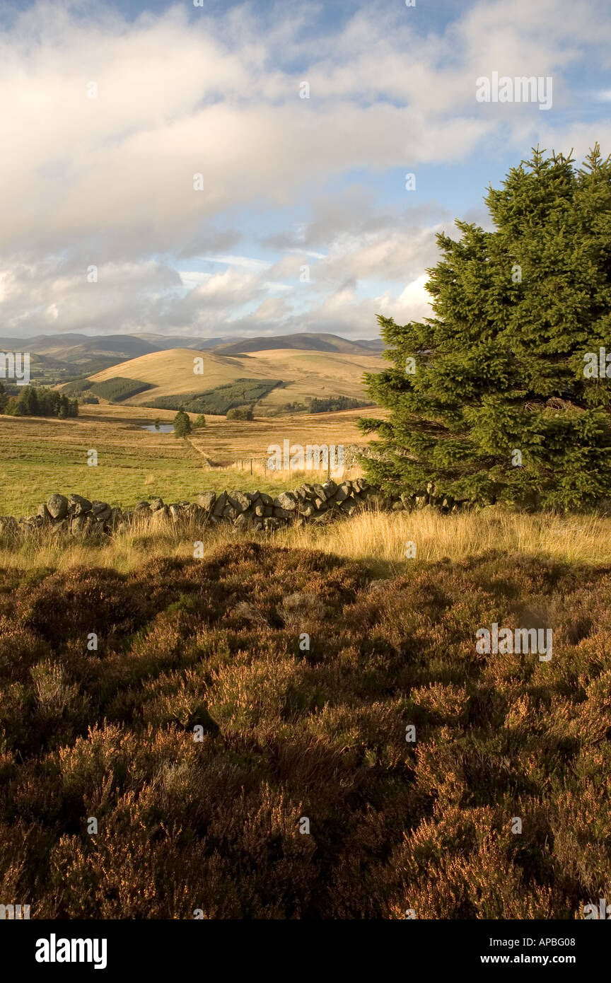 Grand glens hi-res stock photography and images - Alamy